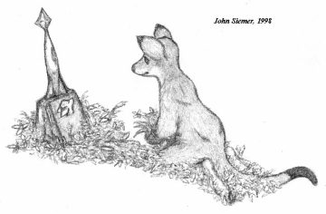 John Siemer (Spaceroo) - Yerf Historical Archive